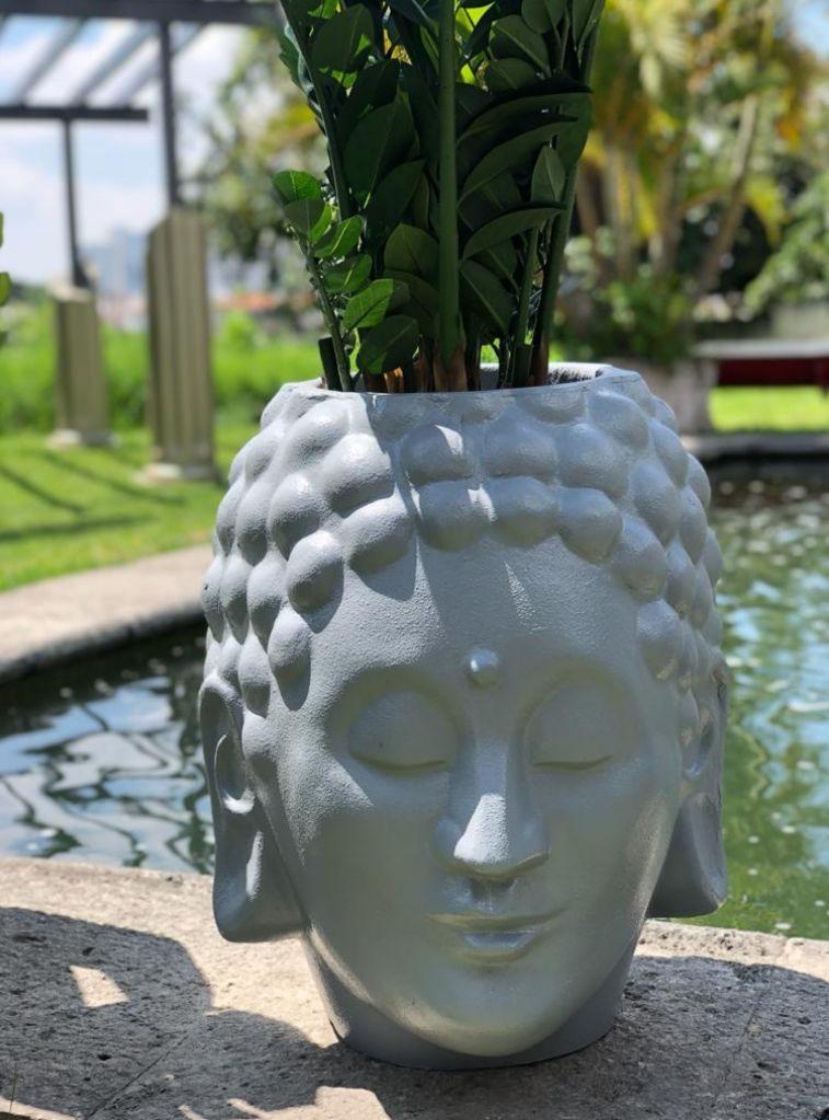 Buda – EROS PLANTS